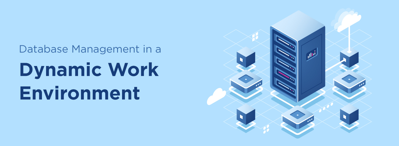 Database Management in a Dynamic Work Environment - Xpheno
